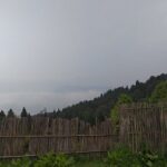 Darjeeling Forests on Foot - Final Thoughts