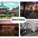 Dark Traditional Tour|The Origin: Mythology and Samurai. Ueno+Yanaka - Who Will Love This Tour?