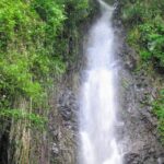 Dark View Falls Tour and Beach - What Past Travelers Say