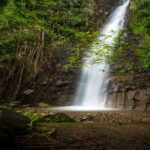 Dark View Falls Tour with Trubb Taxi Tours SVG - What the Tour Means for You: Transportation, Group Sizes, and Value