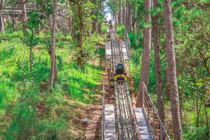 Datanla New Alpine Coaster Experience Pass in Vietnam - Who Should Consider This Experience?