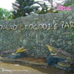 Davao City: Guided Tour with Transfers and Entry Fees - Final Thoughts: Who Should Consider This Tour?