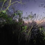 Dawn of the Summits: Hiking and Breakfast Facing the Sun - The Guide and the Experience