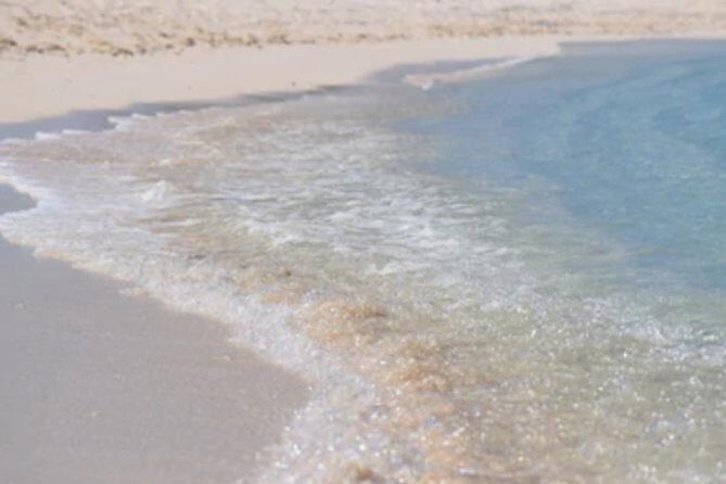 Day At The Beach With Lunch And Drinks for Cruise Guests - Who Will Love This Experience?