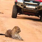 Day Excursion from Colomb to Yala Safari (Leopard Safari Tour) - Itinerary Breakdown: What the Day Looks Like