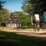 Day Excursion To Ancient City Polonnaruwa From Negombo - Breakdown of the Itinerary: What to Expect at Each Stop