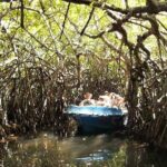 Day Excursion to Bentota from Colombo - Who Is This Tour Best For?