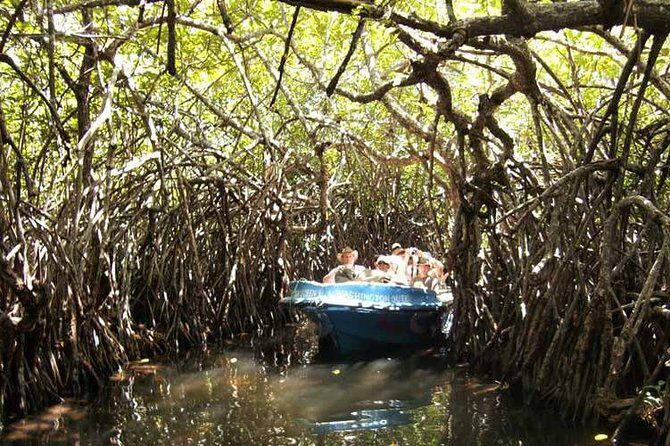 Day Excursion to Bentota from Colombo - Who Is This Tour Best For?