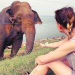 Day Excursions To Udawalawe National Park From Negombo - Who Should Consider This Tour?