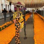 Day of the Dead Tour Nov-1 - The Night’s Highlights: Celebrations and Traditions