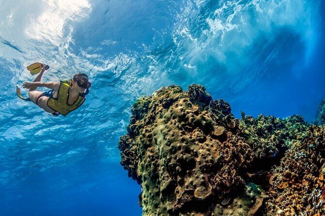 Day Pass To Cozumel Snorkeling By Boat - What Travelers Say About This Tour