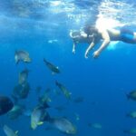 Day Tour and Snorkeling With Manta Rays to Lembongan From Bali - Introduction: A Well-Rounded Island Adventure