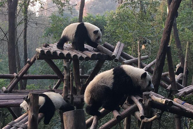Day Tour: Chengdu Panda Breeding Base and Leshan Giant Buddha - What the tour includes and what it doesn’t