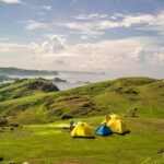 Day Tour /Hand Weaving,Tradisional Village&Beach Tour - A Deep Dive into the Tour Experience