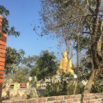 Day Tour of Lumbini Mayadevi Temple - Why Choose This Tour?