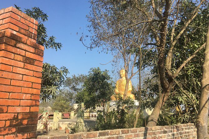 Day Tour of Lumbini Mayadevi Temple - Why Choose This Tour?