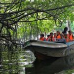 Day Tour to Bentota from Negombo - Practicalities and What to Expect