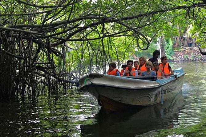 Day Tour to Bentota from Negombo - Practicalities and What to Expect