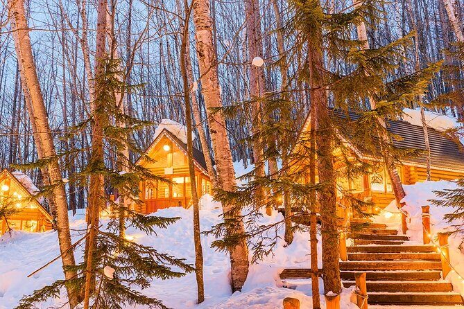 Day tour to Shikisai-no-oka, Asahiyama Zoo, Blue Pond | Sapporo - Value and Practicalities