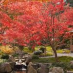 Day Tour to Yutoku Inari Shrine & Sachihime Sake Brewery| Fukuoka - Discovering Yutoku Inari Shrine: Japan’s Third Largest Inari Shrine