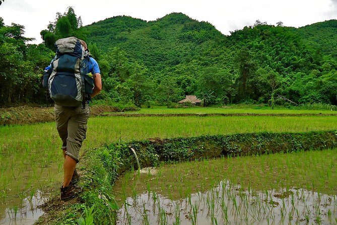 Day Trek to Kuangsi Waterfall and Bear Sanctuary - Luang Prabang full day tour - What Makes This Tour Stand Out