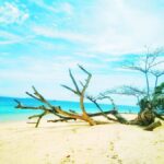 Day Trip 4 Islands & Koh Kradan Snorkeling By Longtail Boat - Snorkeling at Koh Kradan