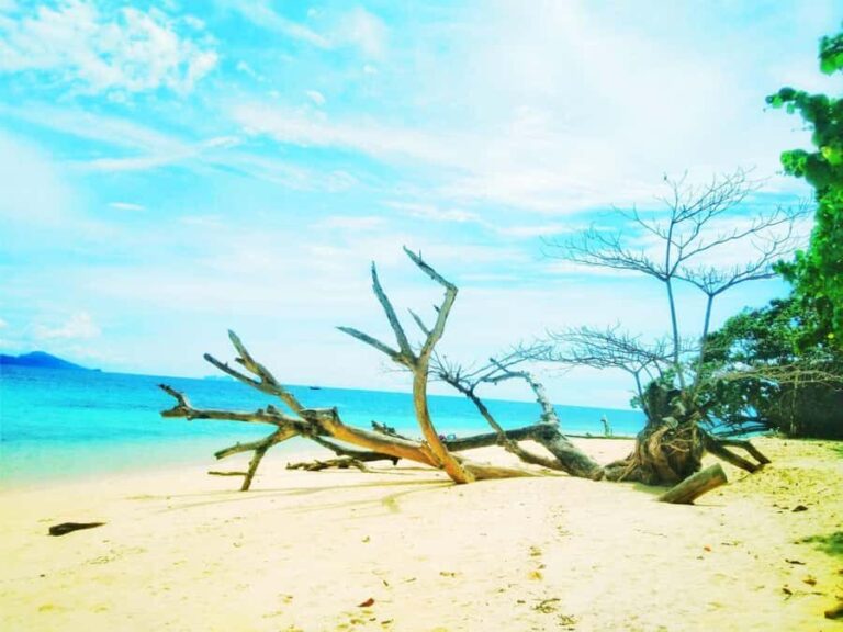 Day Trip 4 Islands & Koh Kradan Snorkeling By Longtail Boat - Snorkeling at Koh Kradan