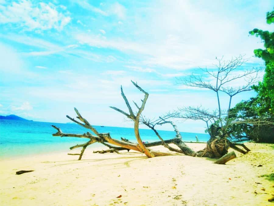 Day Trip 4 Islands & Koh Kradan Snorkeling By Longtail Boat - Snorkeling at Koh Kradan