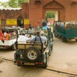 Day Trip from Jaipur to Ranthambore with Tiger Safari - The Experience in Detail