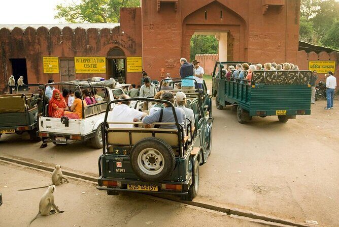 Day Trip from Jaipur to Ranthambore with Tiger Safari - The Experience in Detail