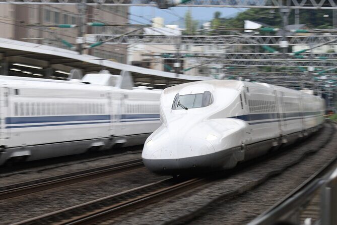 Day Trip Kyoto from Tokyo with a Licensed Guide by Bullet Train - Who is This Tour Best For?