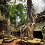 Day trip Phnom Penh to Siem Reap & Return back - Transportation and Logistics