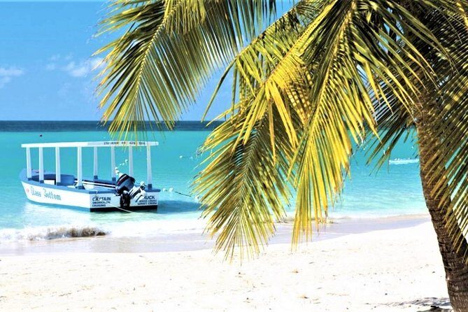 Day Trip to Doctor's Cave Beach, Margaritaville & Shopping from Grand Palladium - What’s Included and What’s Not