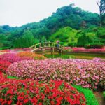 Day trip to Doi Inthanon National Park - Transport, Timing, and Group Size
