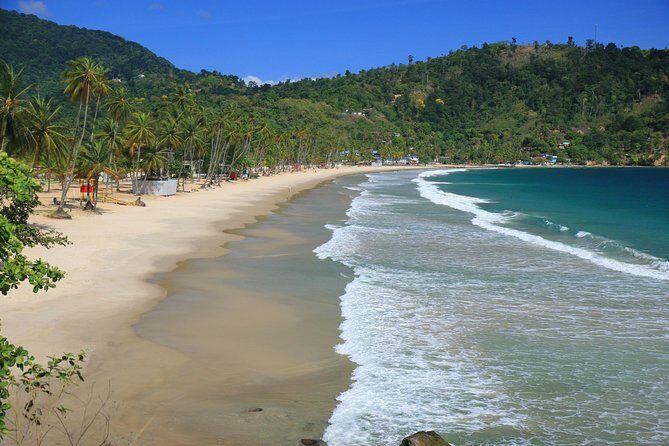 Day Trip to Maracas Beach - What Travelers Say: Real Experiences