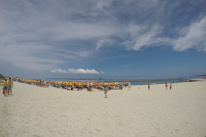 Day Trip to Minna Island Beach with Snorkeling Options - What Makes This Tour Stand Out?