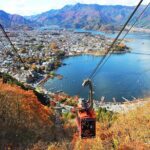 Day Trip To Mount Fuji and Hakone from Tokyo with English Guide - The Overall Experience: Value and Practicalities