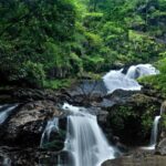 Day trip to Tala Kaveri: Guided Tour from Coorg in AC Car - Climbing Brahmagiri Hill: A Walk with a View