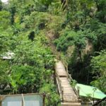 daytour bali:sekumpul + fiji waterfalls,ulundanu beratan - The Journey to Sekumpul Waterfalls