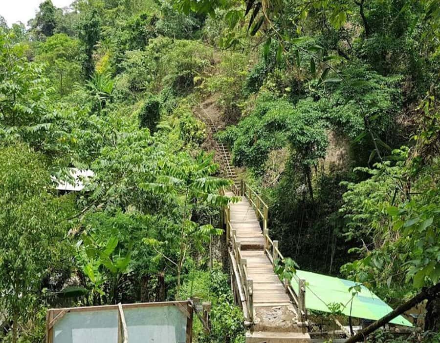 daytour bali:sekumpul + fiji waterfalls,ulundanu beratan - The Journey to Sekumpul Waterfalls