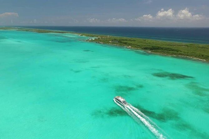 Daytrip Isla Contoy & Isla Mujeres from Cancun - Exploring Isla Mujeres: Shopping and Local Charm