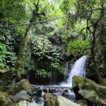daytrip: sangeh monkey,jati luwih,yeh ho waterfalls - Practical Details and What to Expect
