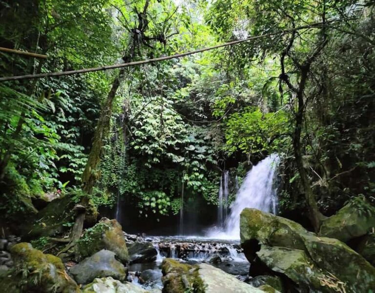 daytrip: sangeh monkey,jati luwih,yeh ho waterfalls - Practical Details and What to Expect