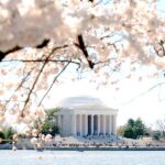 DC Cherry Blossom & Monuments Tour with Seasonal Boat Cruise - The Tour Itself: Logistics and Value