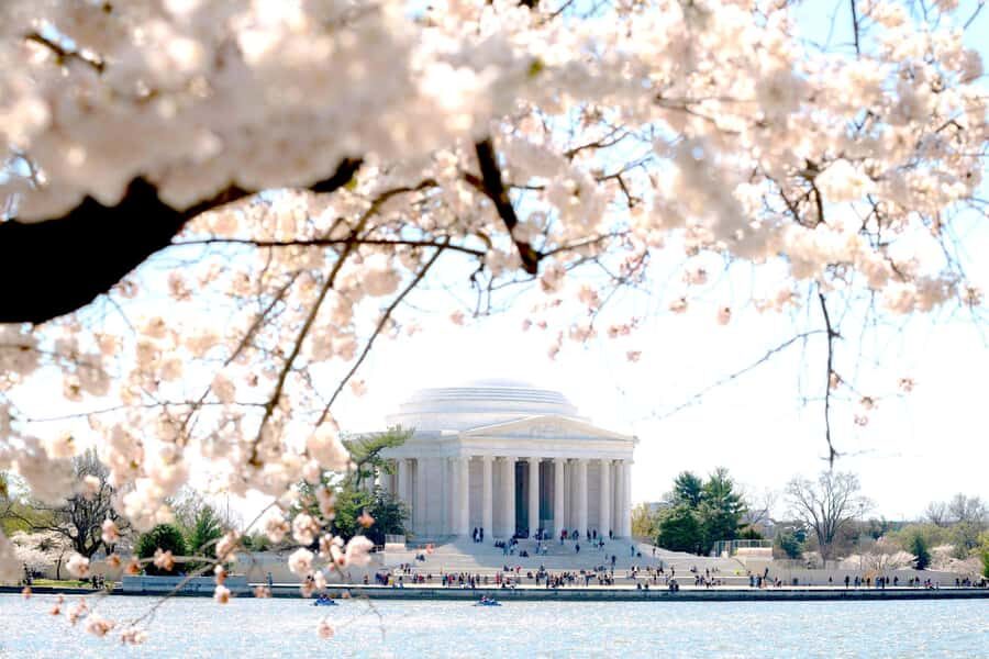 DC Cherry Blossom & Monuments Tour with Seasonal Boat Cruise - The Tour Itself: Logistics and Value