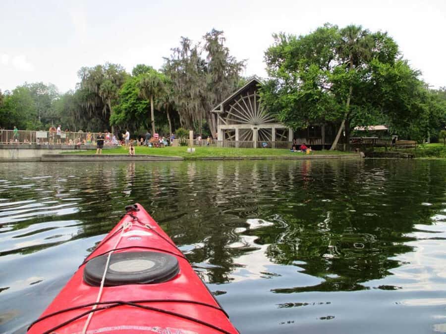 De Leon Springs: State Park Guided Kayak Tour - An Authentic Wetland Experience in Florida