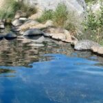 Deep Creek Hot Springs Adventure from Los Angeles - Who Would Love This Tour?