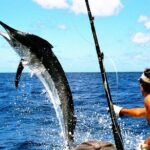 Deep Sea Fishing Tour - The Pros and Cons Based on Real Feedback