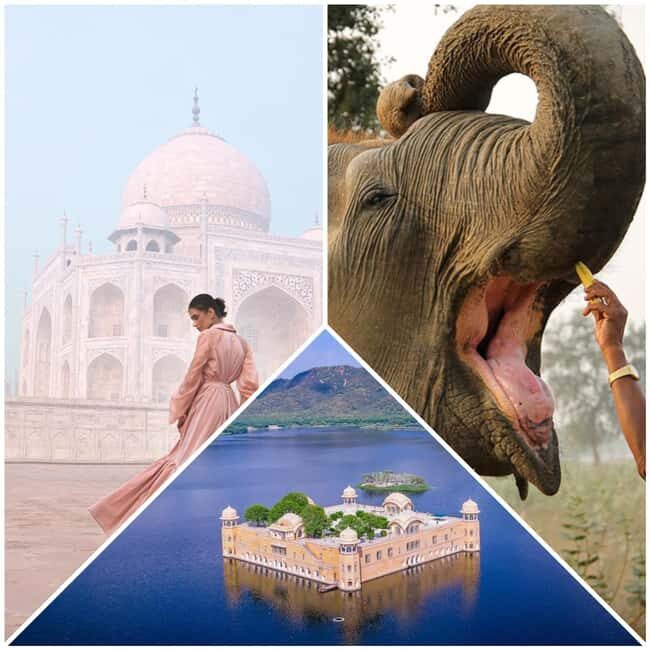 Delhi: 2Day Agra & Jaipur Tour with Elephant SOS and 5*Hotel - Practical Details and What You Need to Know