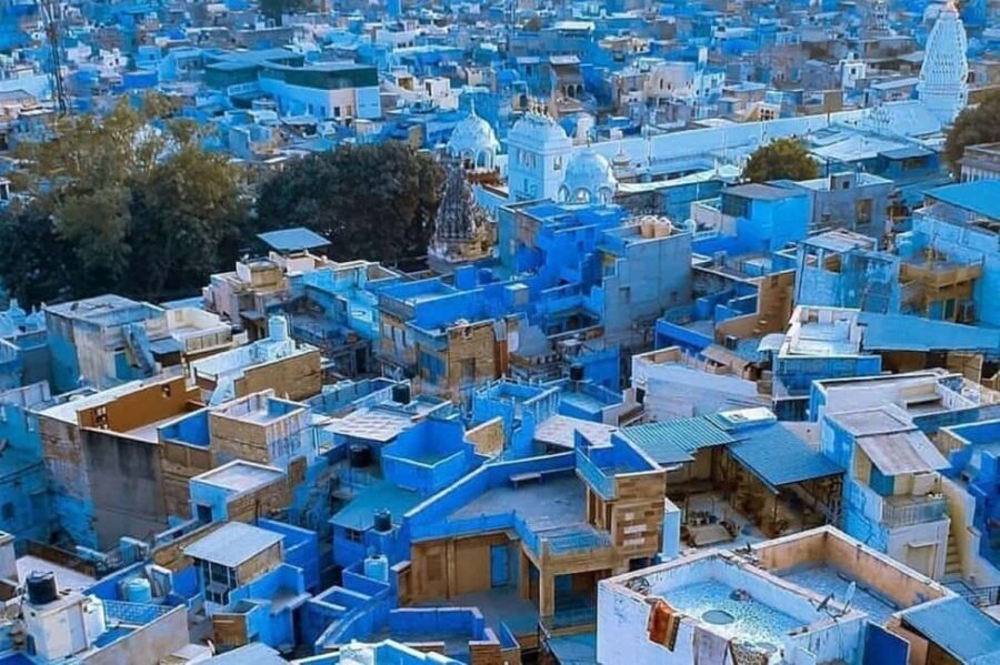 Delhi: 6Day Golden Triangle with Jodhpur & Udaipur(5* Hotel) - What to Expect: A detailed breakdown